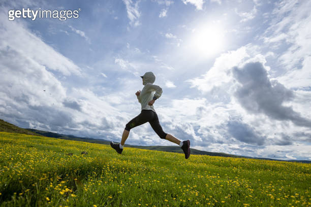 Woman trail runner cross country running at high altitude grassland 이미지 ...
