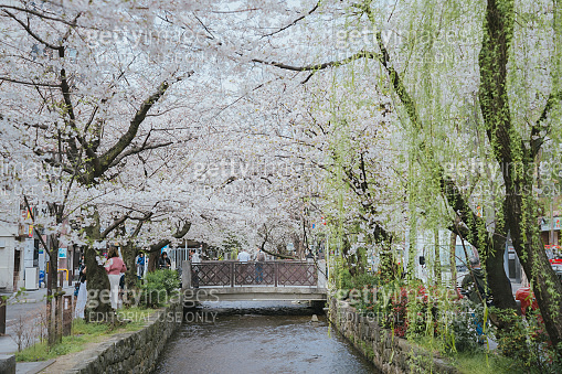 Kiyamachi-dori St Kyoto, Scenic view of a charming canal lined with ...