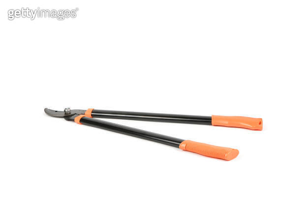 Pruner for pruning large branches, twigs and knots. Garden Tools ...