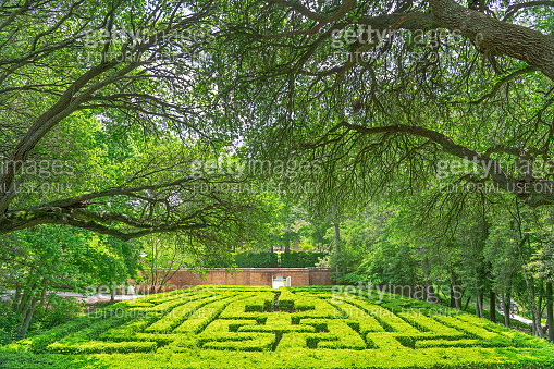 Colonial Williamsburg, Virginia at the Hedge Maze (1855078011) - 게티이미지뱅크