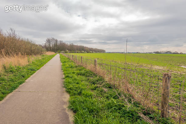 Long and straight concrete cycle path on the edge of nature and ...