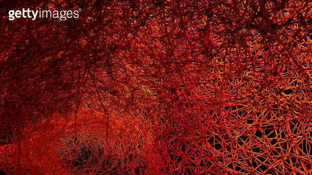 Human arterial and venous circulatory system, Medically accurate ...