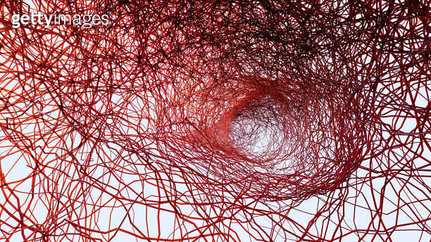 Human arterial and venous circulatory system, Medically accurate ...