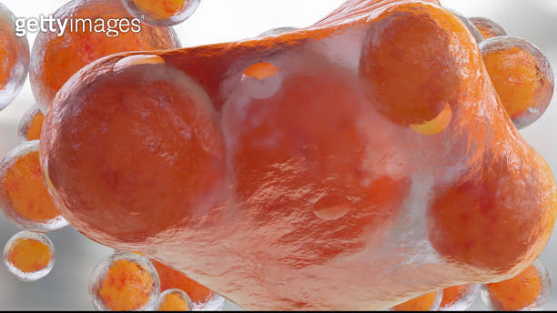 Fat cells, adipocyte and lipocyte, cholesterol in a cells, 3d render ...