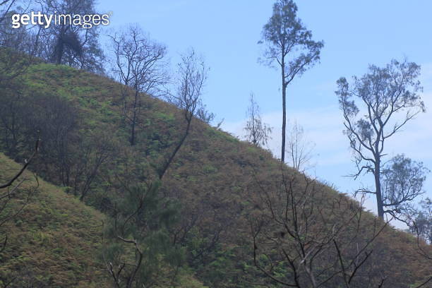 Mountain ridges with sparse tree vegetation and dominated by bushes 이미지 ...