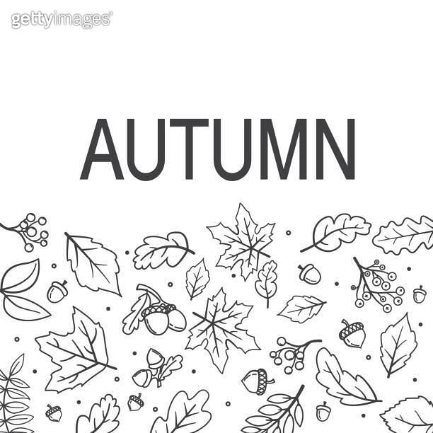 Hand drawn autumn leaves doodles shaped. Falling leaves.Line art autumn ...