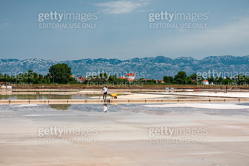 Man picking up salt in the swamp and filling the wheelbarrow. Salt ...