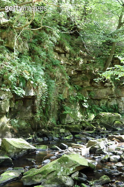 Boulders on a river bed inside a ravine 이미지 (2170654958) - 게티이미지뱅크