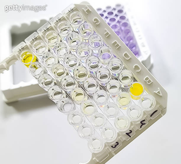 Enzyme-linked immunosorbent assay (ELISA) plate, Immunology or serology ...