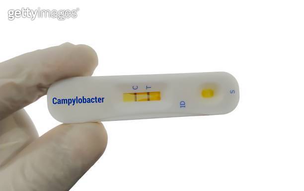 Rapid diagnostics cassette for Campylobacter, showing positive for ...