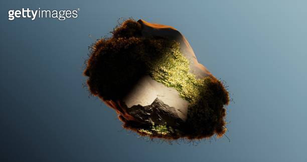 Floating in zero gravity, a stone is covered in moss and tiny grasses ...
