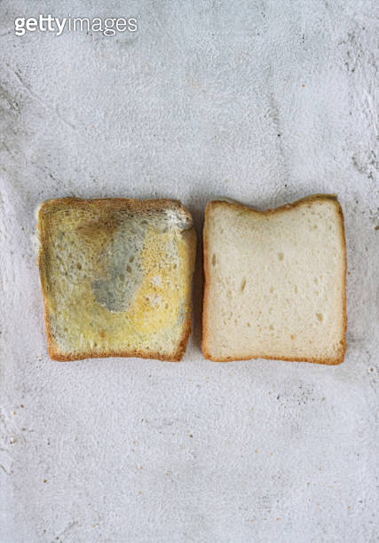 Image of white bread loaves, mouldy, old, stale sliced loaf and loaves ...