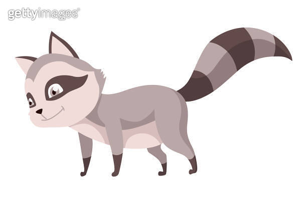 Raccoon character emotion. Funny wild coon pose or cute mammal animal ...