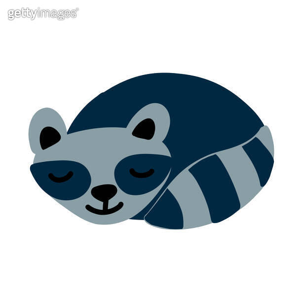 Decorative vector sleeping raccoon lying isolated on white background ...