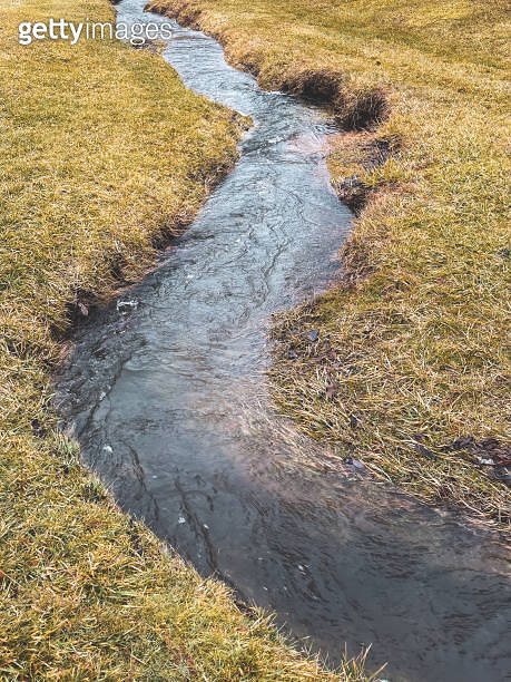 a simple curving stream in the forest 이미지 (1965149305) - 게티이미지뱅크
