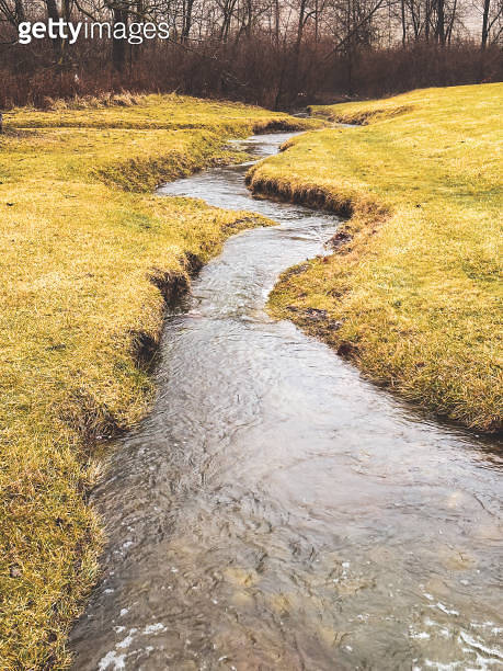 a simple curving stream in the forest 이미지 (1965149306) - 게티이미지뱅크
