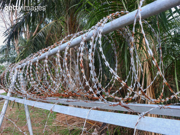 Circular barbed wire fences are often used to delimit areas ...