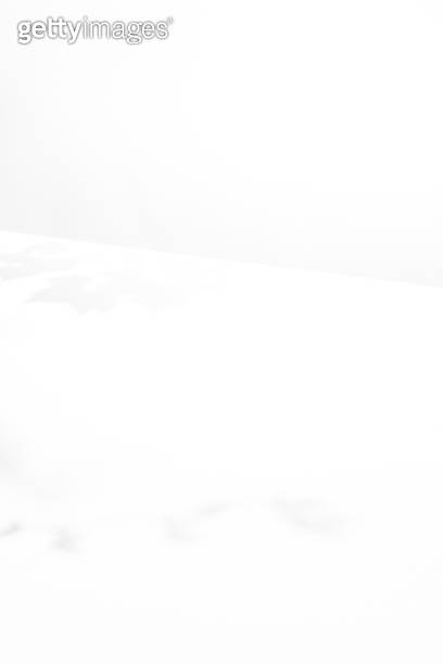 Light background with harsh shadows of tree branch. Aesthetic white ...