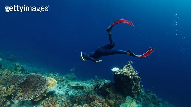 Freediving on the abundant healthy reef. Woman freediver glides ...