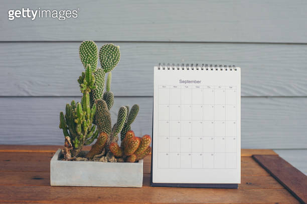Desktop calendar and cactus placed on student wooden desk. 2024 ...