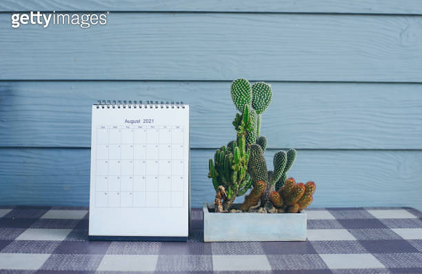 Desktop calendar and cactus placed on student wooden desk. 2024 ...