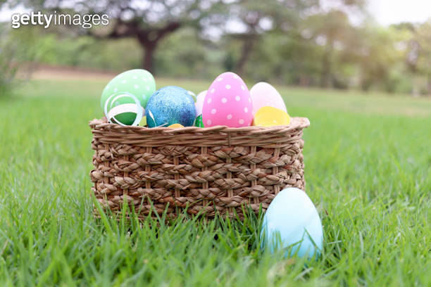 Colorful Easter eggs in basket on green grass nature garden in wild ...