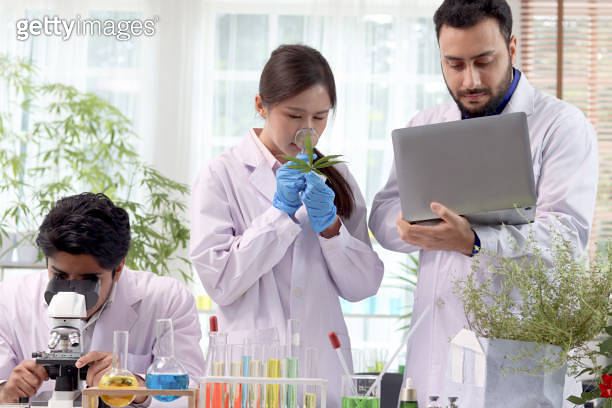 Scientist team woman and man in lab coat doing experiment with marijuana hemp leaf in laboratory ...