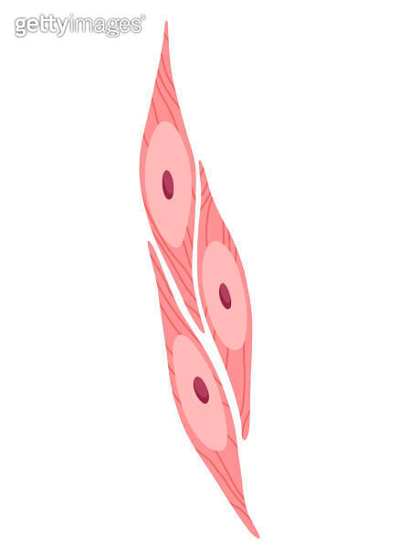 Human cell type icon. Medicine and biology illustrative symbol. Health ...