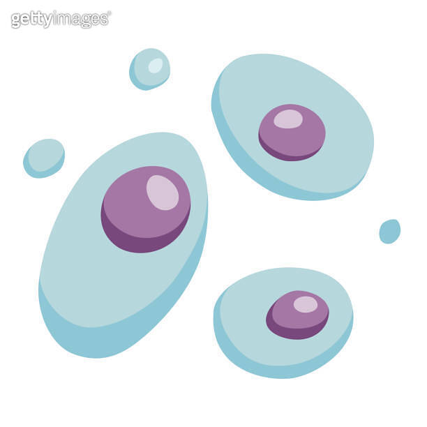 Human cell type icon. Medicine and biology illustrative symbol. Health ...