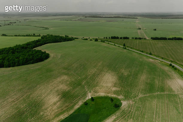Aerial top view summer day aerial green nature Ukraine. Grass field ...