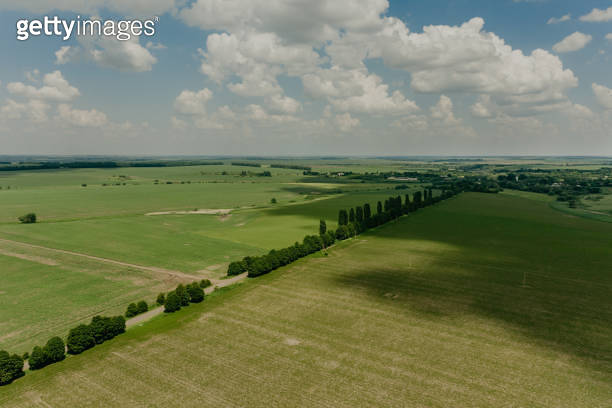 Aerial top view summer day aerial green nature Ukraine. Grass field ...