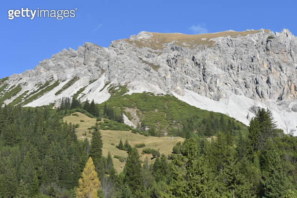 Alpine Tree Line in Malbun, Liechtenstein 이미지 (2056044833) - 게티이미지뱅크