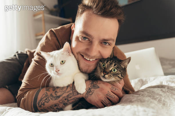 Man embracing with his fluffy domestic cats while laying at the bed 이미지 ...