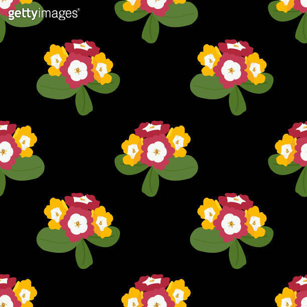 Spring primrose primula seamless pattern on black background vector ...