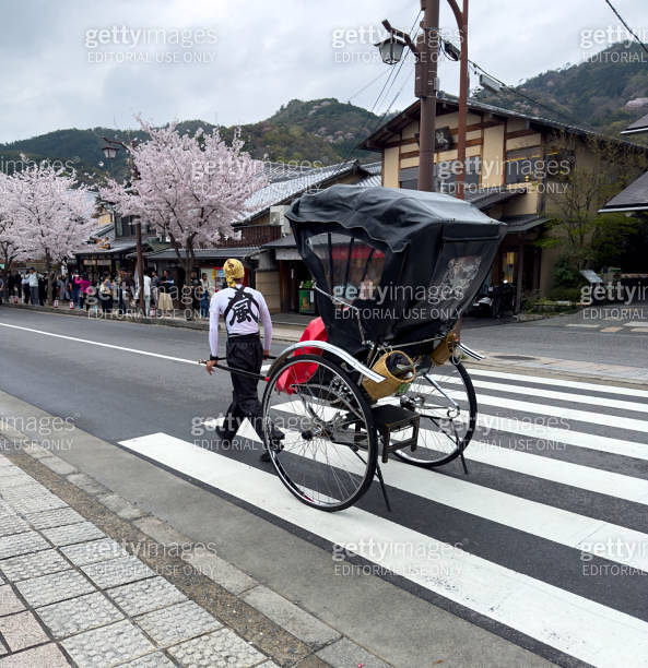 Japan. Kyoto. Man pulling traditional rickshaw on street. Blooming ...