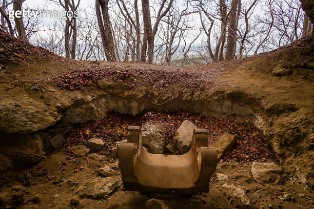 Overgrown ruins of a second world war Japanese machine gun bunker on ...