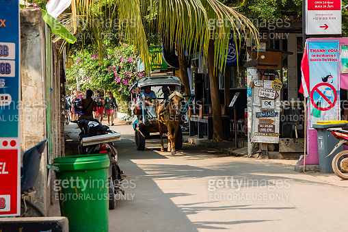 A traditional horse cart (Cidomo) waiting for tourists on the ...