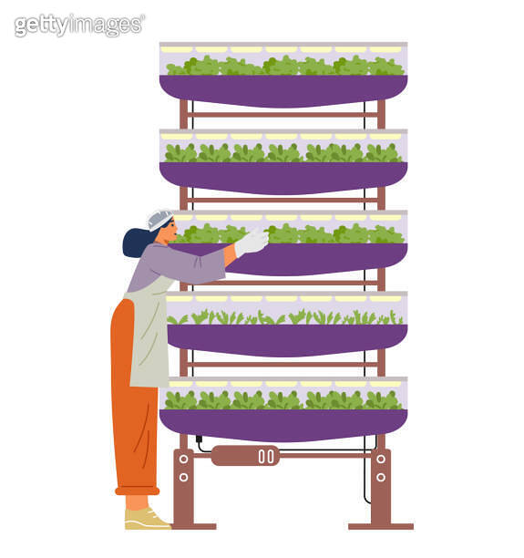 Woman working on vertical farm flat vector illustration isolated on ...