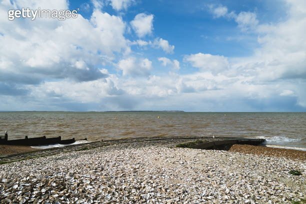 Oyster shells on Whitstable beach next to a slipway with a wooden ...
