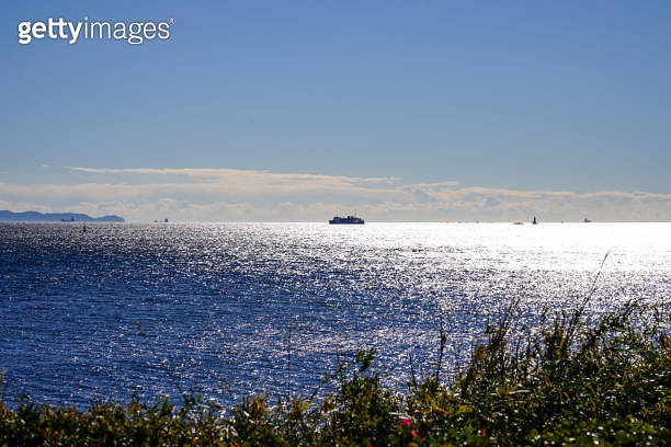 Tokyo Bay Uraga Channel seen from Kannonzaki Park (Yokosuka City ...