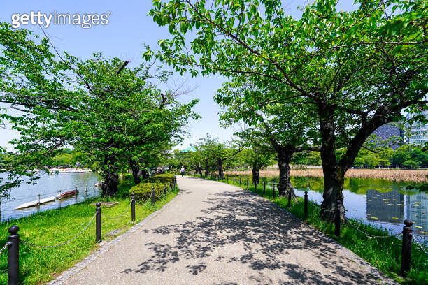 The boat pond area of Shinobazu Pond on a clear spring day (Taito-ku ...