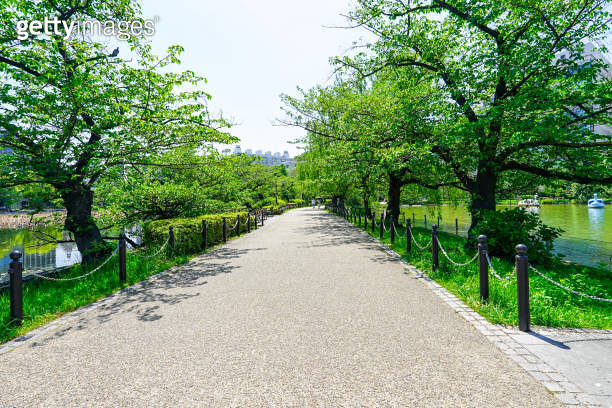 The boat pond area of Shinobazu Pond on a clear spring day (Taito-ku ...