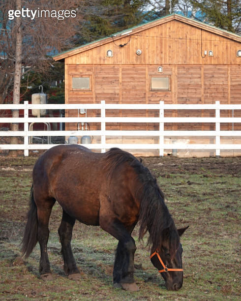 The spacious "Ban'ei Ranch Tokachi" (Obihiro City, Hokkaido ...