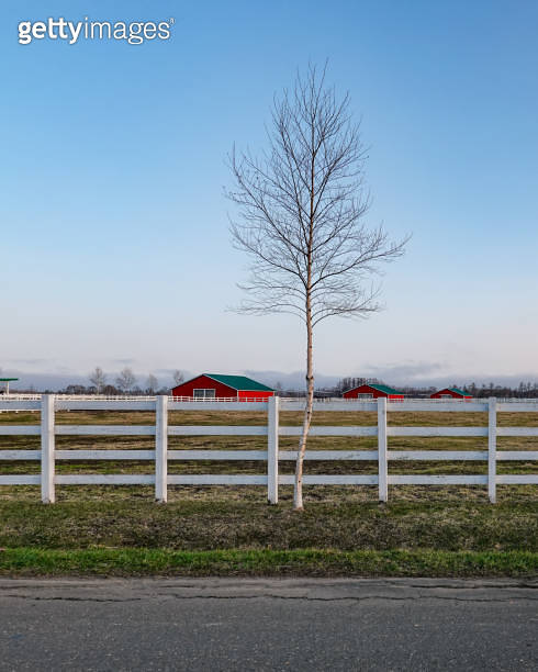 The spacious "Ban'ei Ranch Tokachi" (Obihiro City, Hokkaido ...