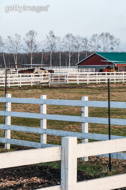 The spacious "Ban'ei Ranch Tokachi" (Obihiro City, Hokkaido ...