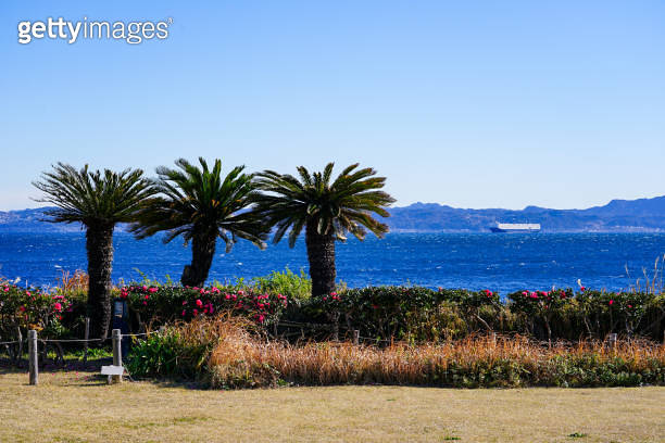 Tokyo Bay Uraga Channel seen from Kannonzaki Park (Yokosuka City ...