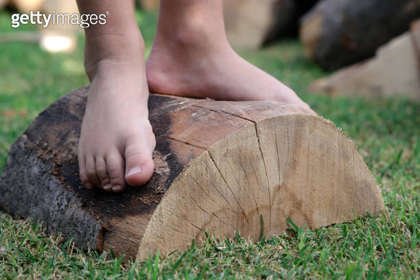 Child feet on wood log, barefoot little girl on tree trunk, countryside ...