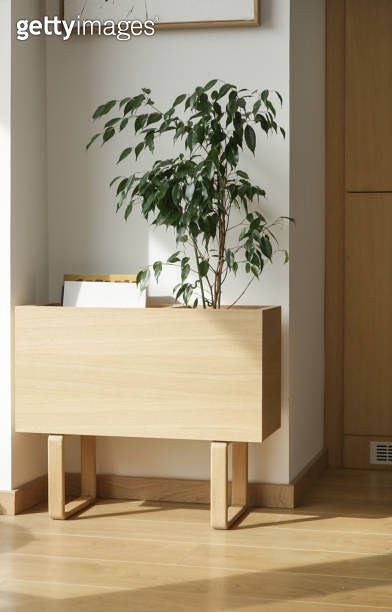 Minimal design wooden storage box or flower pot in the apartment, home ...