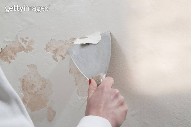 Saltpeter on the wall problem. Woman is using a scraper to scrape and ...