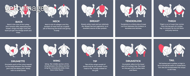 Guide cutting meat carcass turkey, chicken. Turkey carcass butcher ...